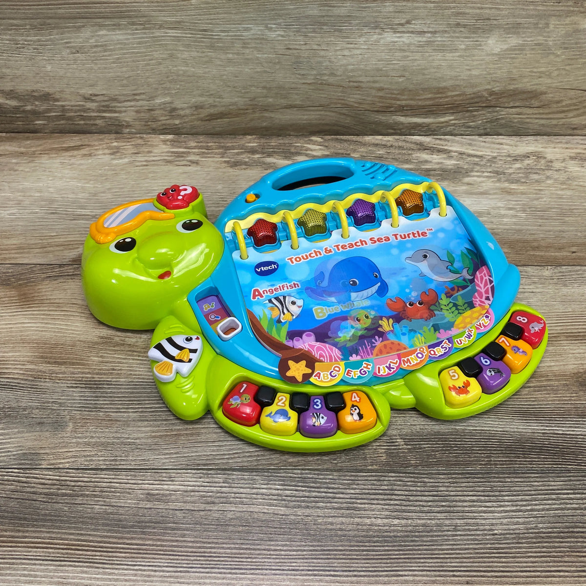 Vtech Touch & Teach Sea Turtle – Me n Mommy To Be